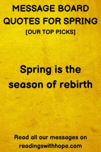 180 Message Board Quotes For Spring