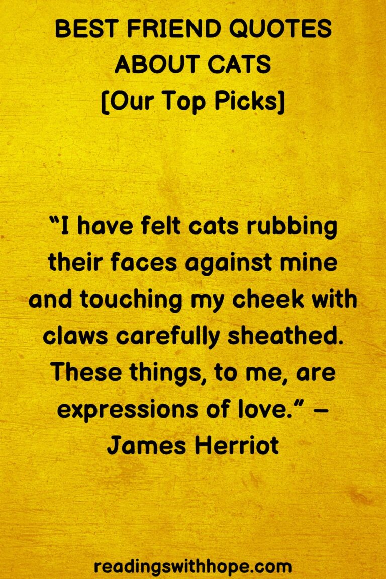 70 Best Friend Quotes for your BFF and True Buddies