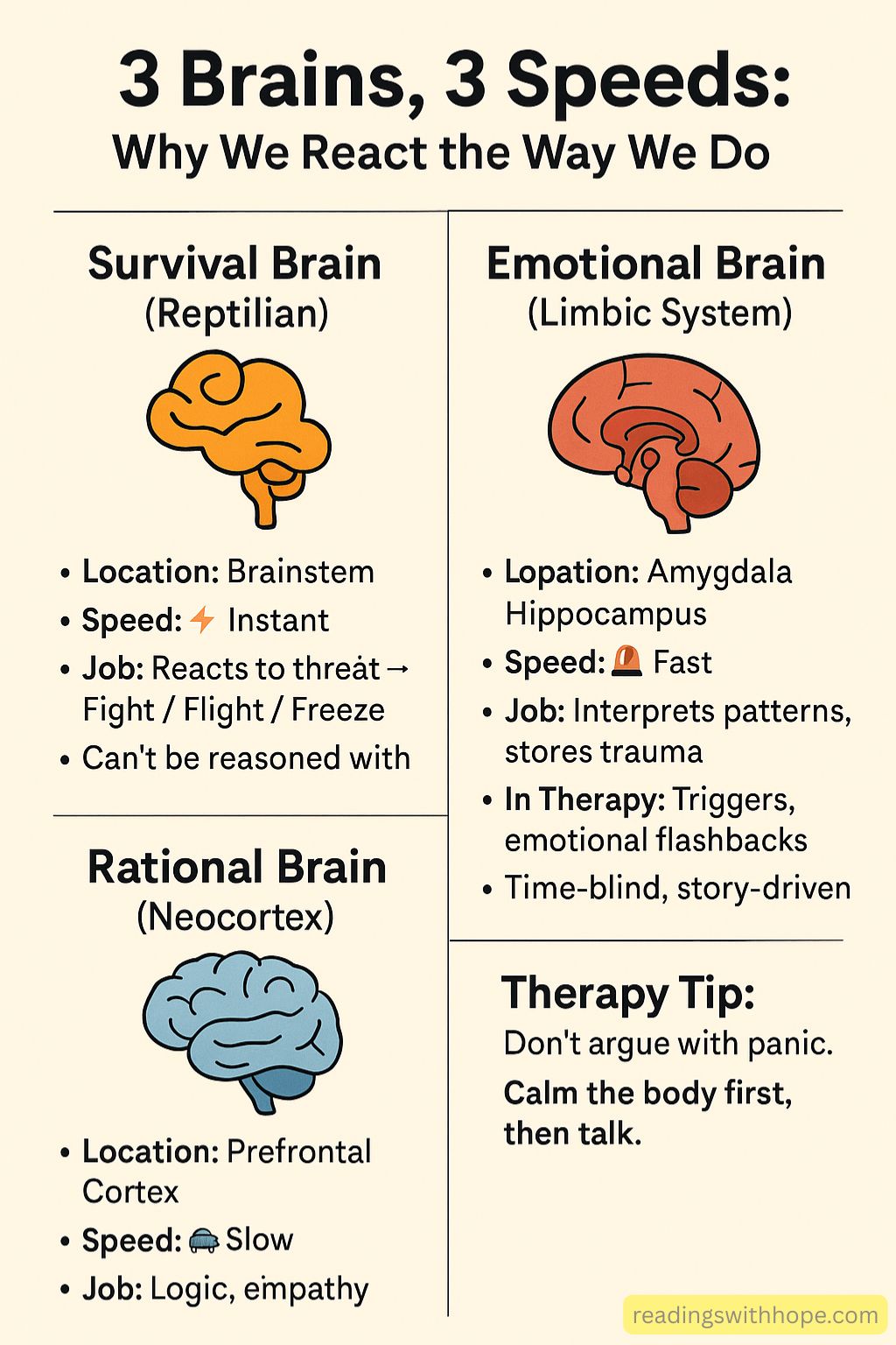 Why You Have 3 Brains, Not One